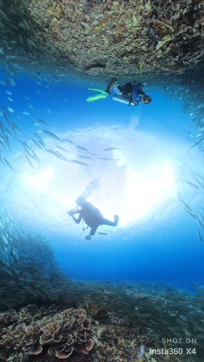 After Dive Apa After Kondangan?? #shortvideo #fyp #makeup #mua #penyelam #dive #diving #sea ...