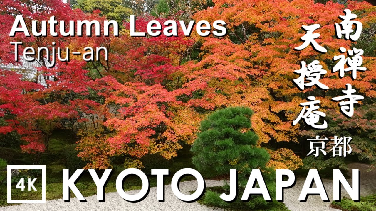 【4K】Kyoto Autumn Leaves 2019 Tenju-an - 京都の紅葉 南禅寺 天授庵 | Japan walking ...