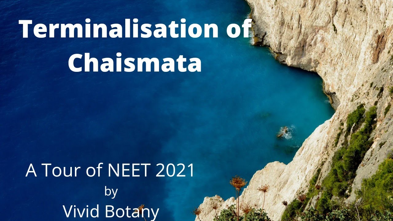 Terminalisation of Chaismata | Diakinesis | Pachytene | Zygotene | NEET ...