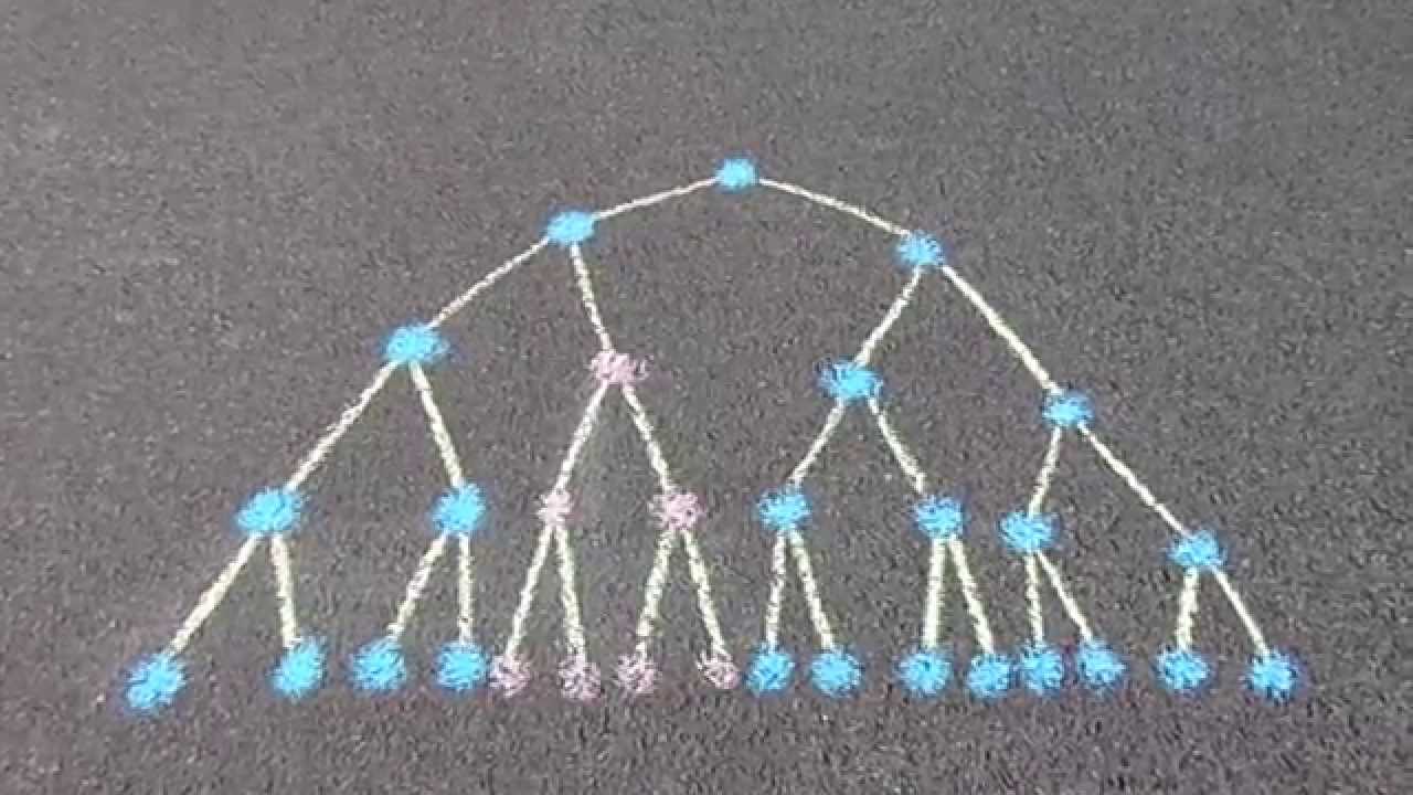 "Genetics", Mosaicism - YouTube
