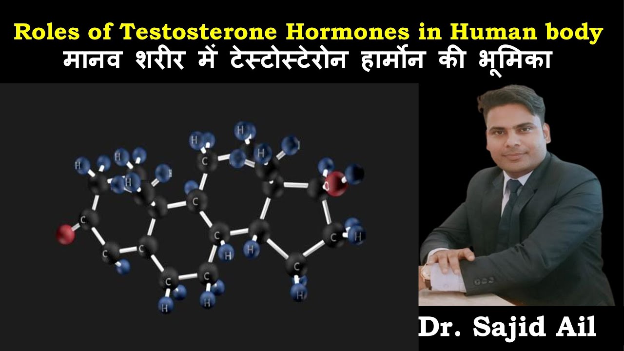 Role of testosterone hormone in the human body by Dr. Sajid Ali - YouTube
