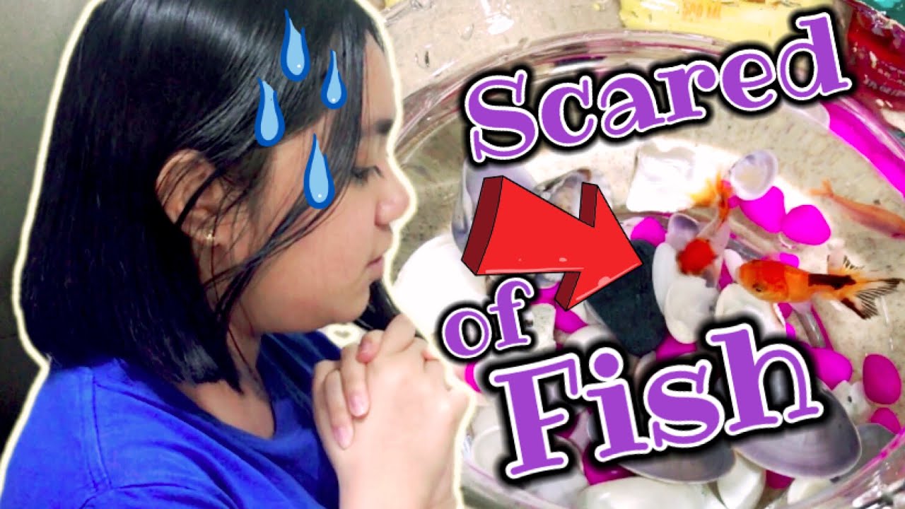 Scared of Touching A Live Fish | Fish Got Stressed - YouTube