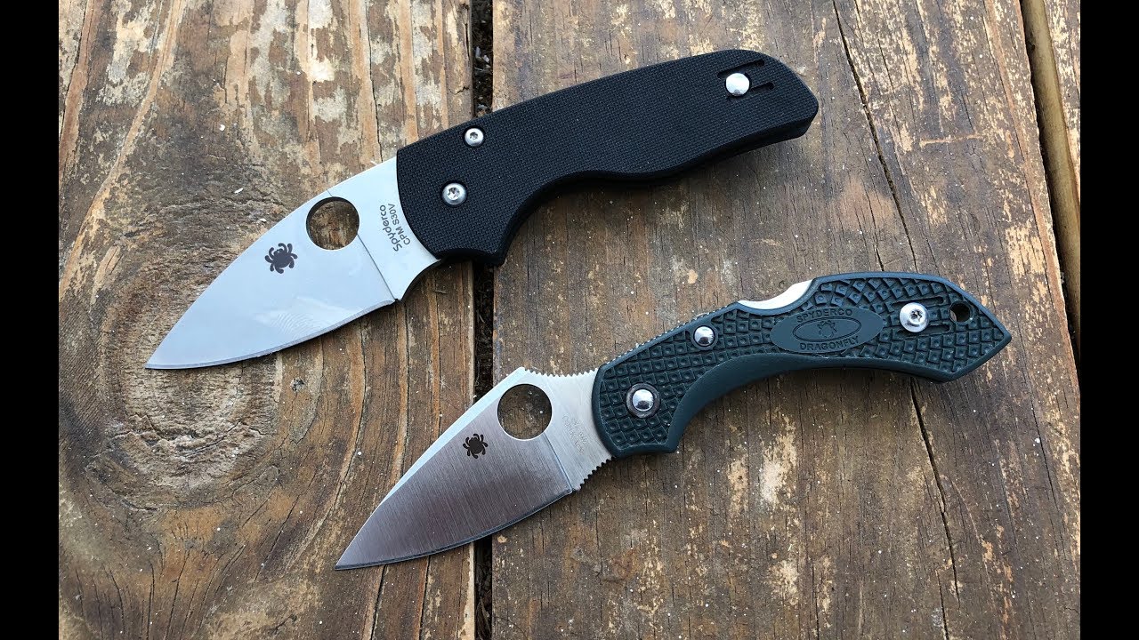 Comparing the Spyderco Lil' Native vs. the Spyderco Dragonfly - YouTube