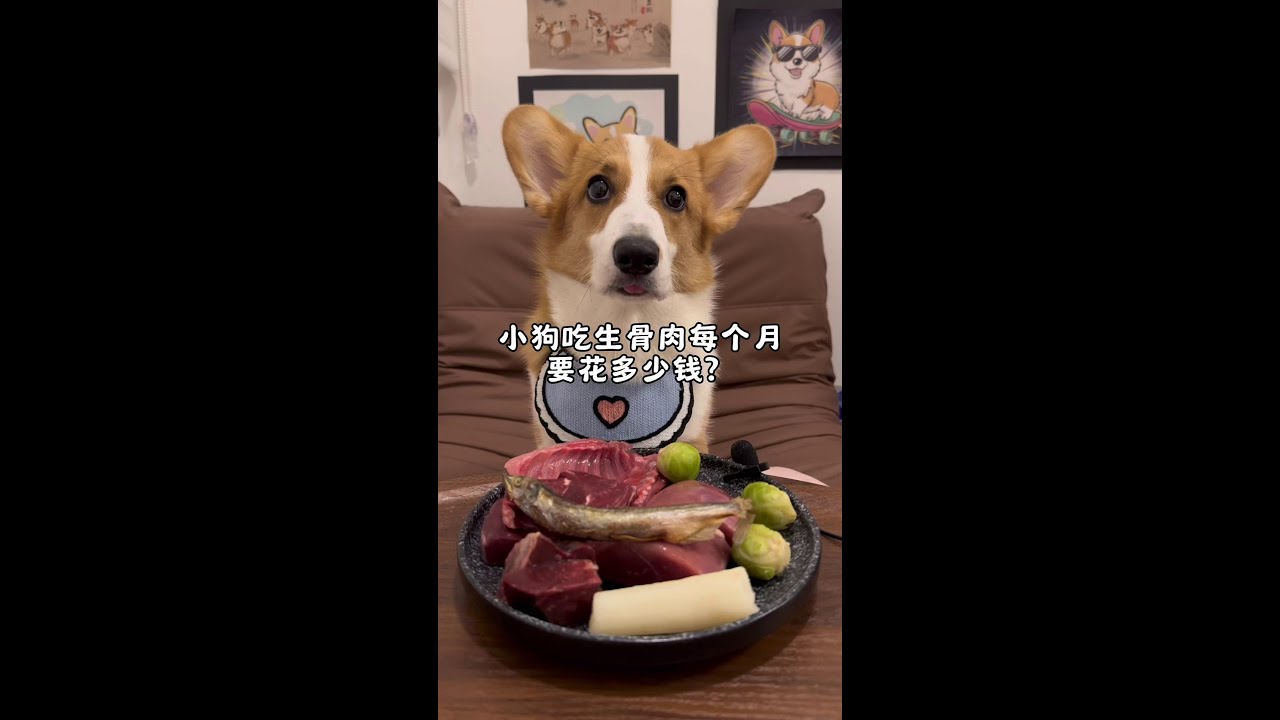 How much does it cost for a puppy to eat raw flesh and blood every ...