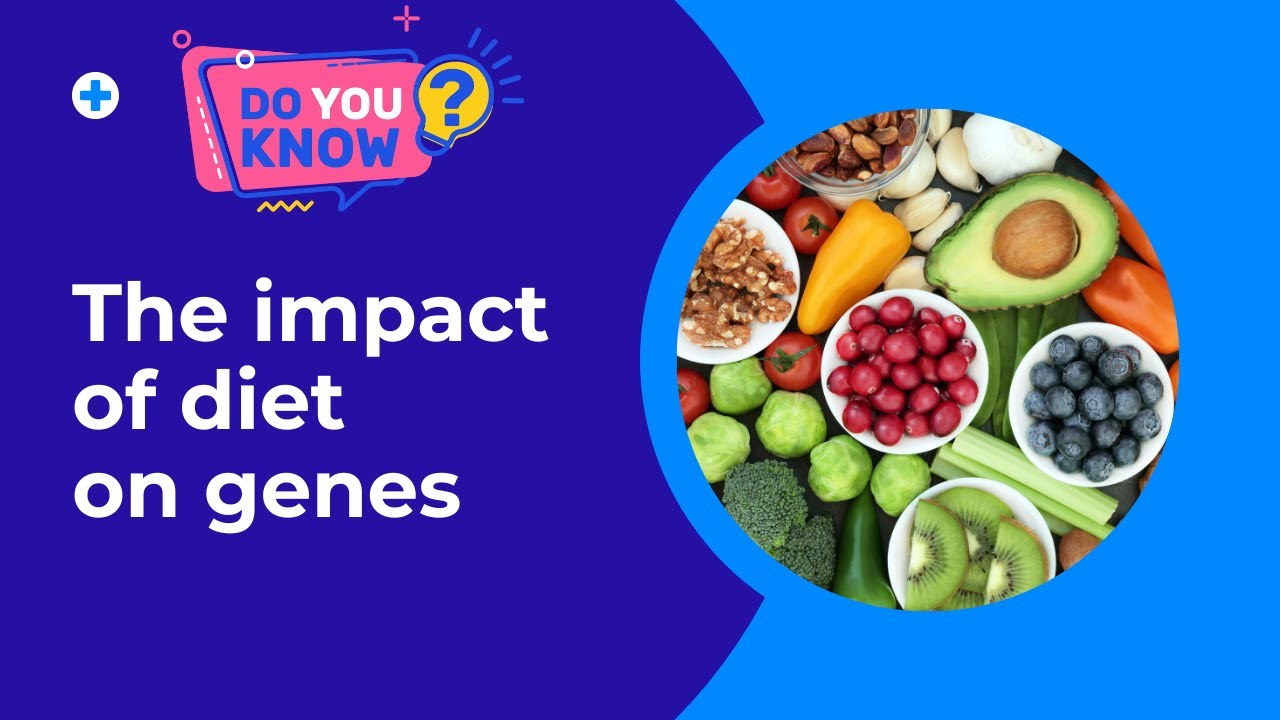Can food influence our genes? Here are evidence. - YouTube