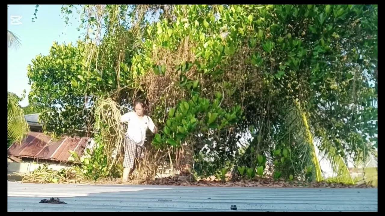 BUHAY PROBINSYA | LINIS MUNA AKO NG BUBONG PART ONE #probinsya - YouTube