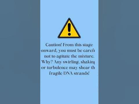 Extracting the DNA of an ONION - YouTube