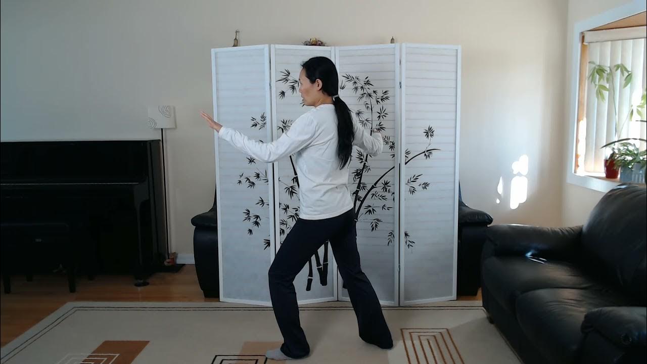Tai Chi Yang Style 37 Form, Movements 1-12 Back View - YouTube