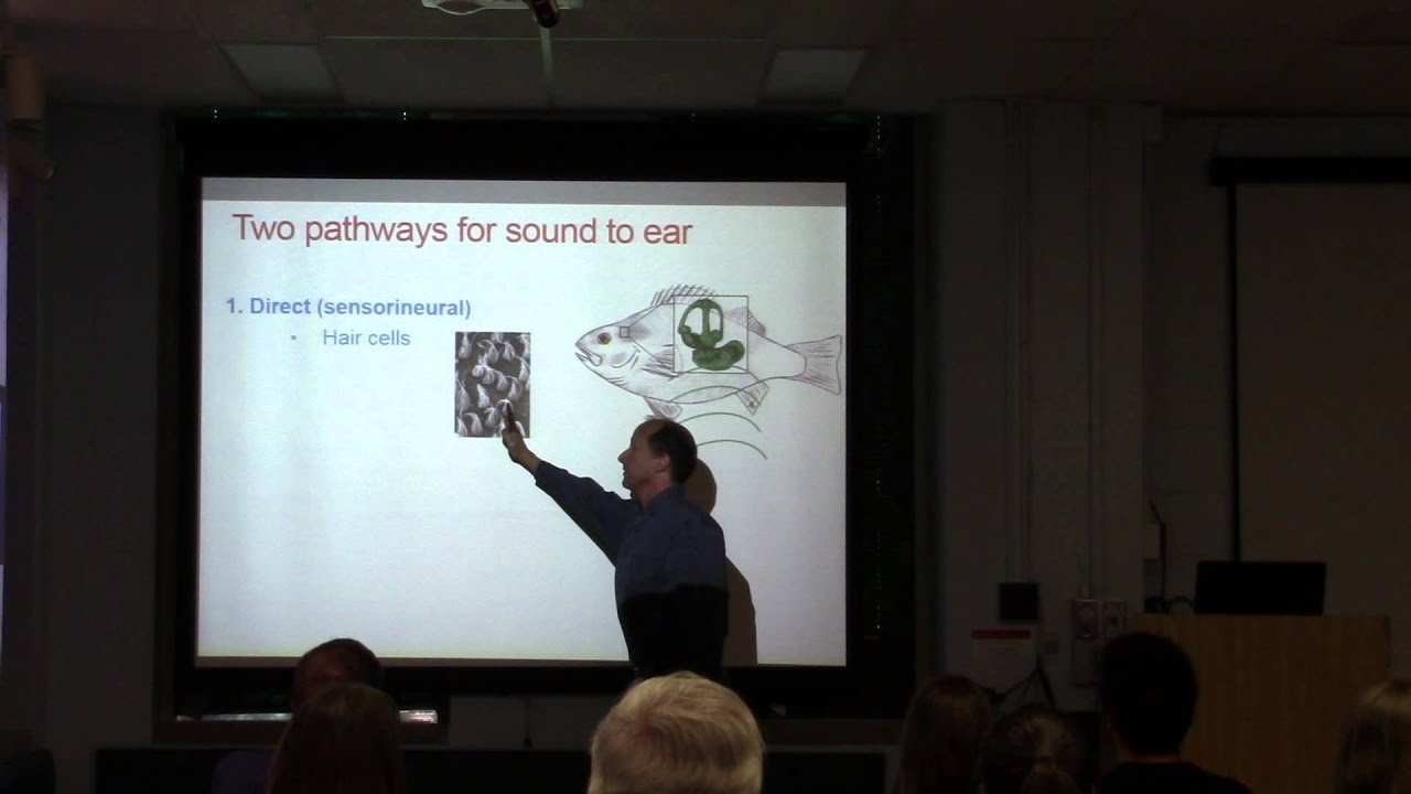 Organismal seminar Dr. Dennis Higgs - Part 1/2 - YouTube