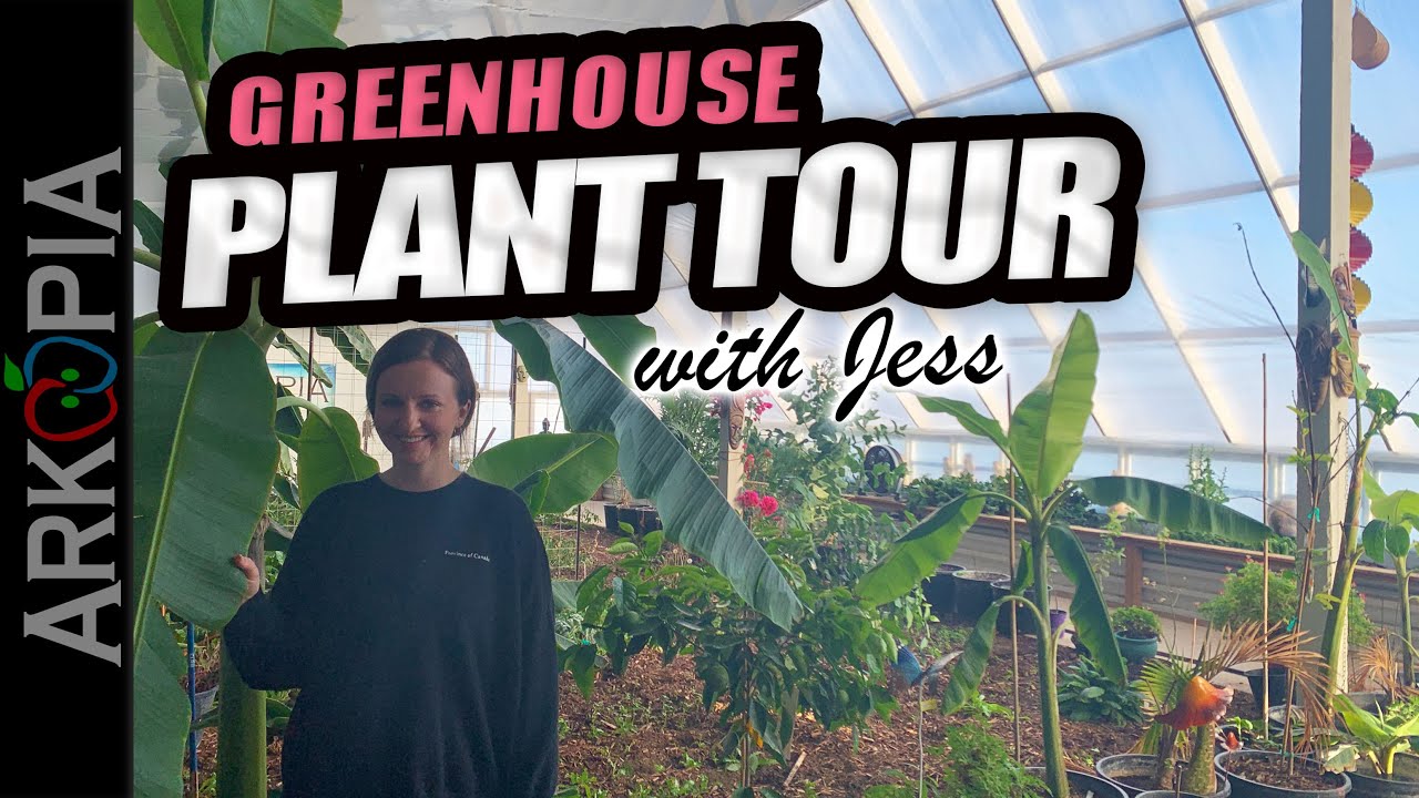 Arkopia Greenhouse - Plant Tour with Jess - What's Growing? - March 12 ...