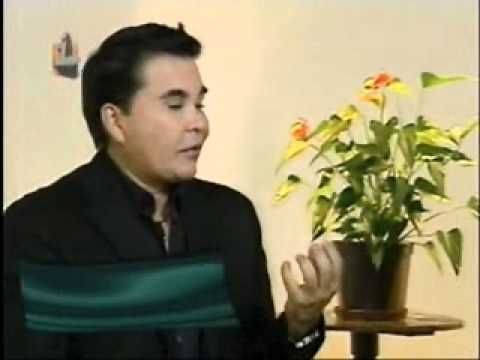Dr. Wilson Muñoz, entrevista en CANAL I.wmv - YouTube