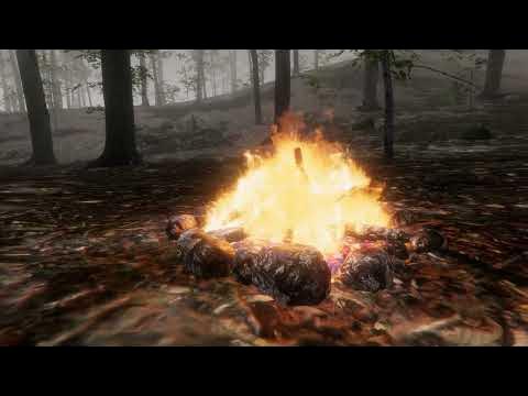 Unity Fire Spreading: Enchanting Campfire Scene in NatureManufacture Forest | Blaze Forge Demo ...