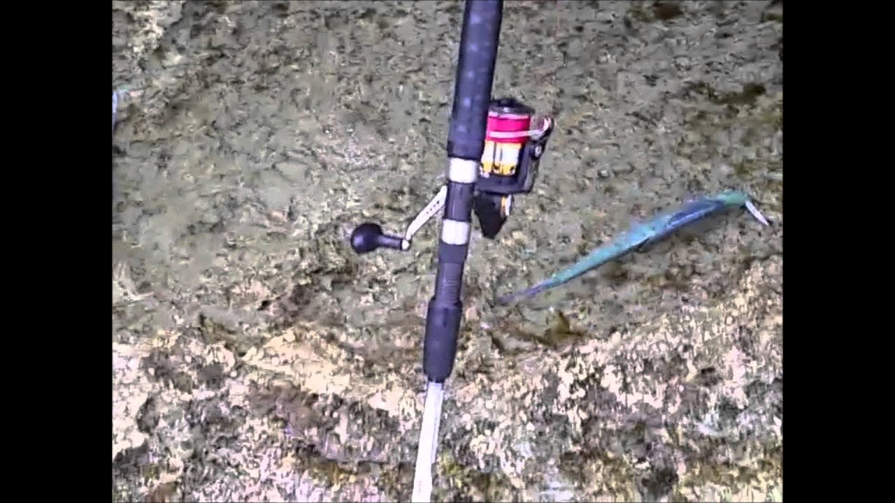 Whipping on Guam #7 Papio & Lai in Tide Pool - YouTube