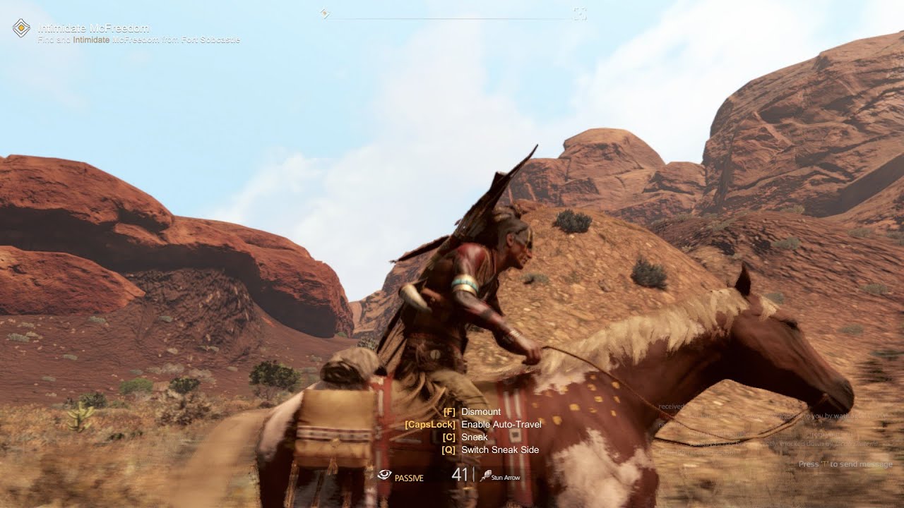 This Land is my land. DogE Style -Part 3-.The making of a feeder ...