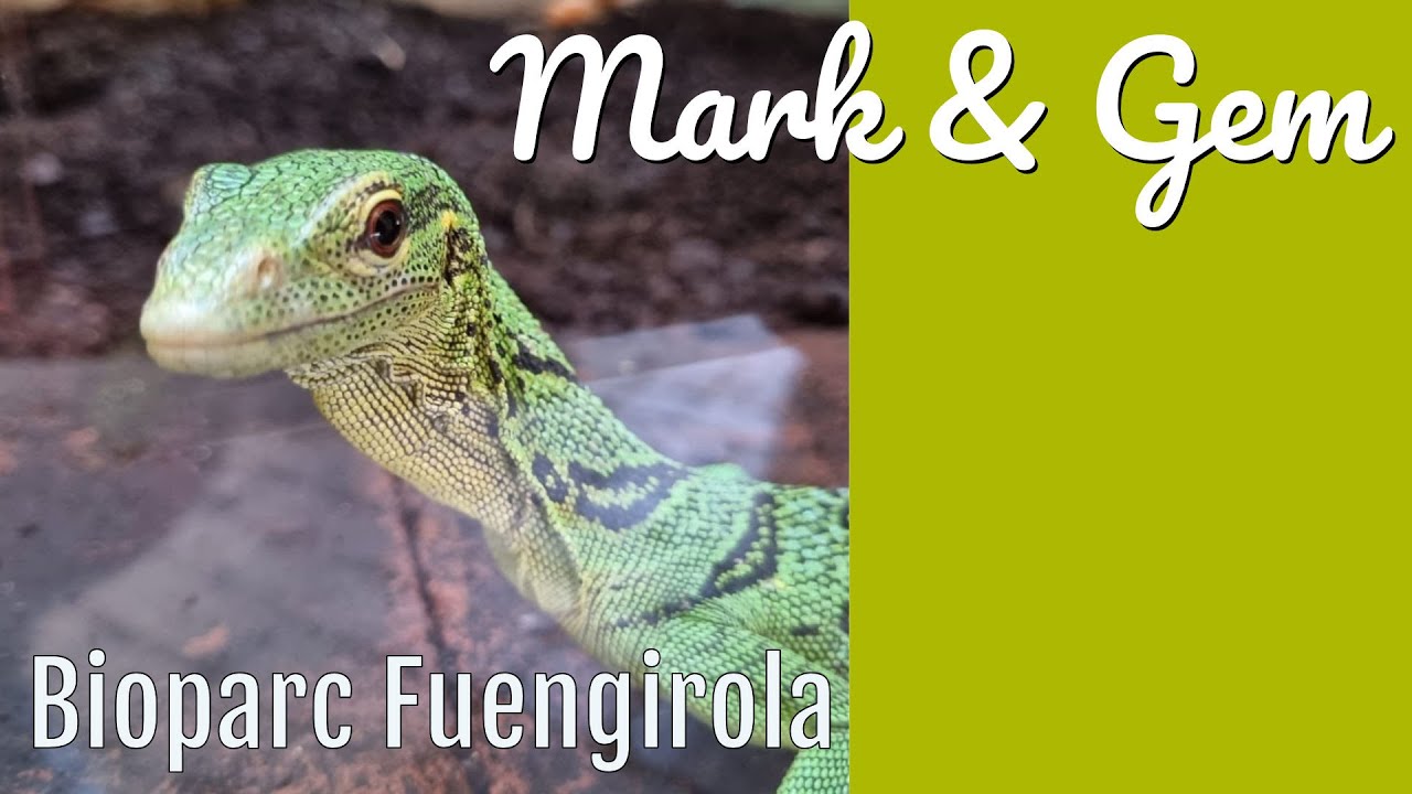 A Trip to Bioparc Fuengirola - Mark & Gem - YouTube