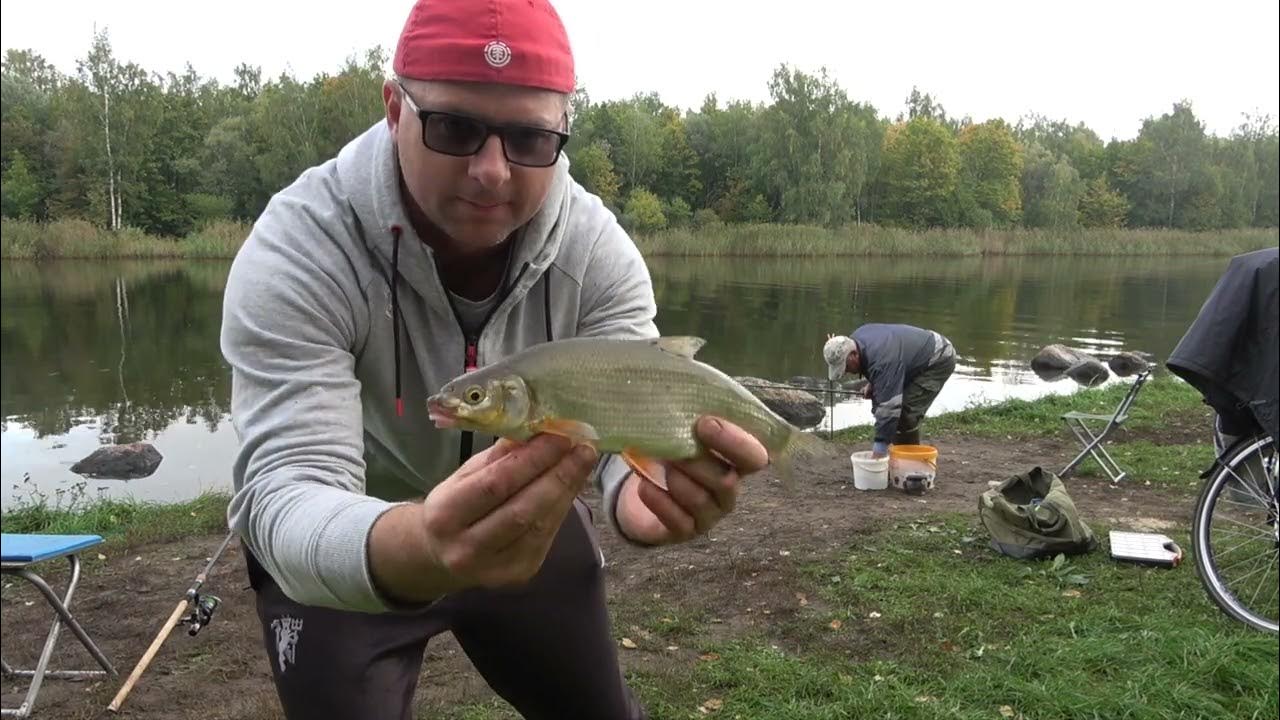ЛОВЛЯ ВИМБЫ НА ФИДЕР / РЫБАЛКА В ЛАТВИИ / FEEDER FISHING LATVIA - YouTube