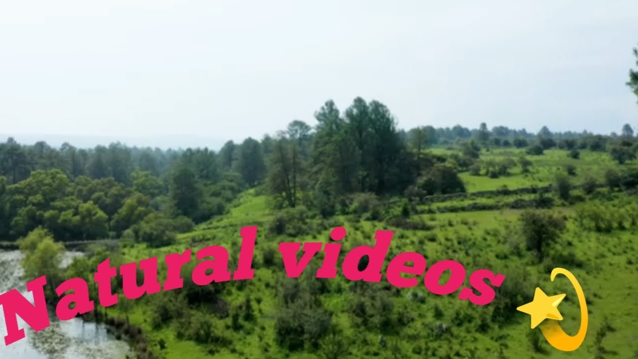 Natural videos - YouTube