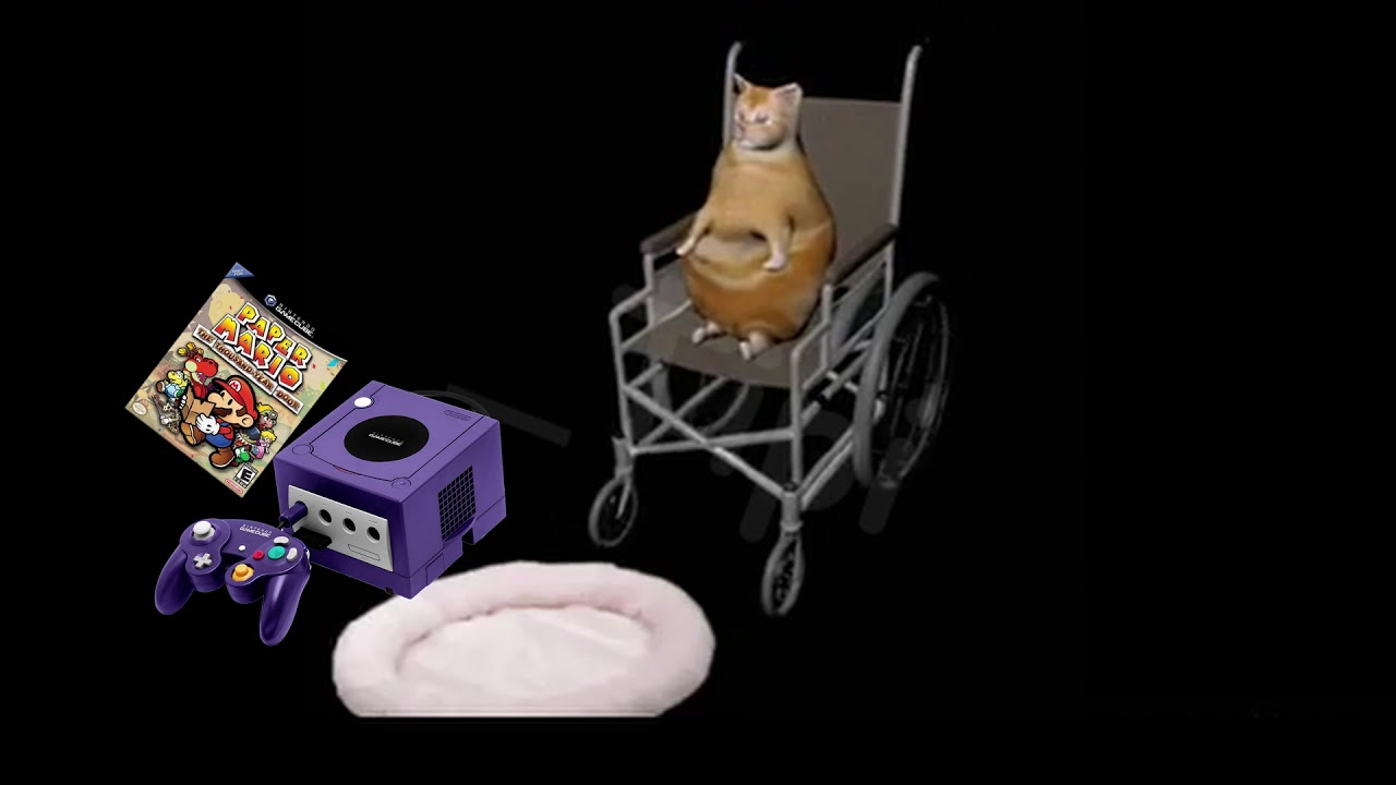 wheel chair cat plays gamecube - YouTube