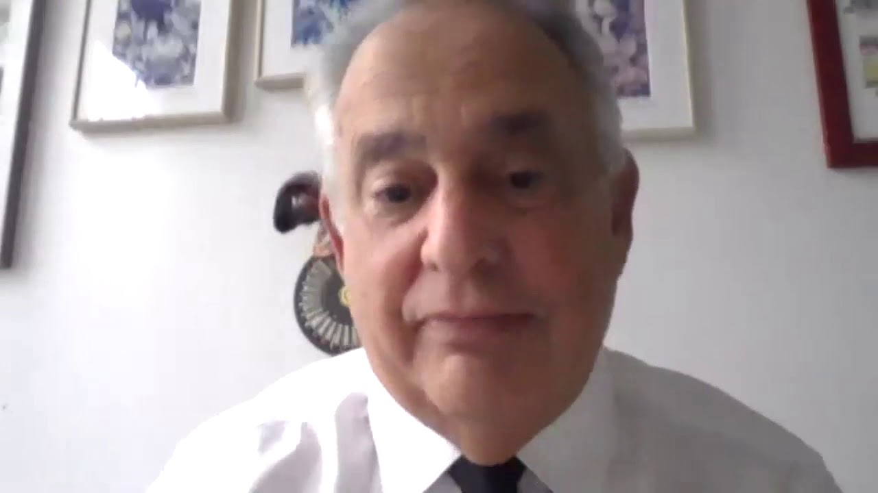 Critical Voices: Election 2020 with Jerry Goldfeder and Frank Deale ...