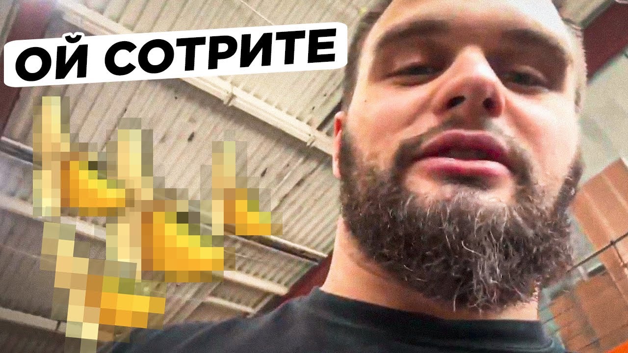 Понятно что данила горилла любит Youtube