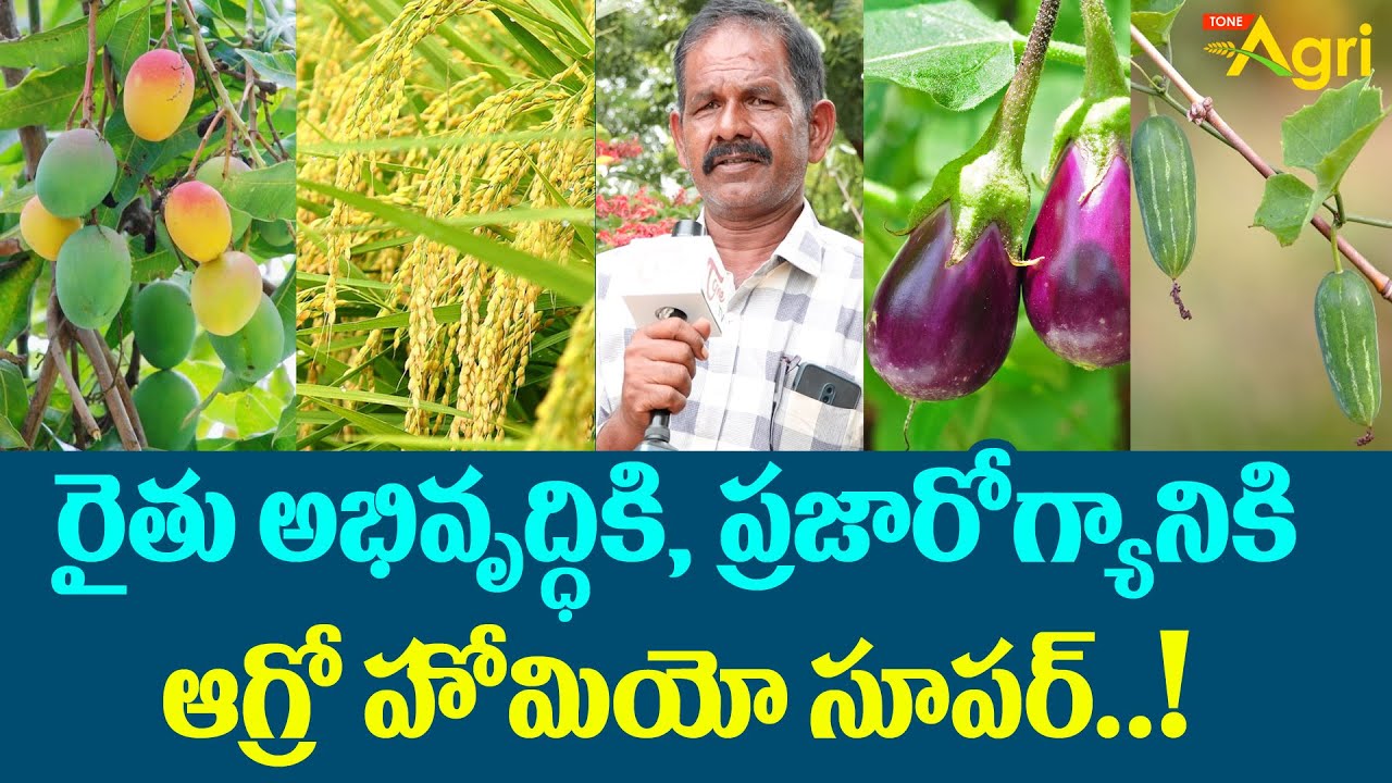 Agro Homeopathy in Agriculture | రైతు అభివృద్ధికి, ప్రజారోగ్యానికి ...
