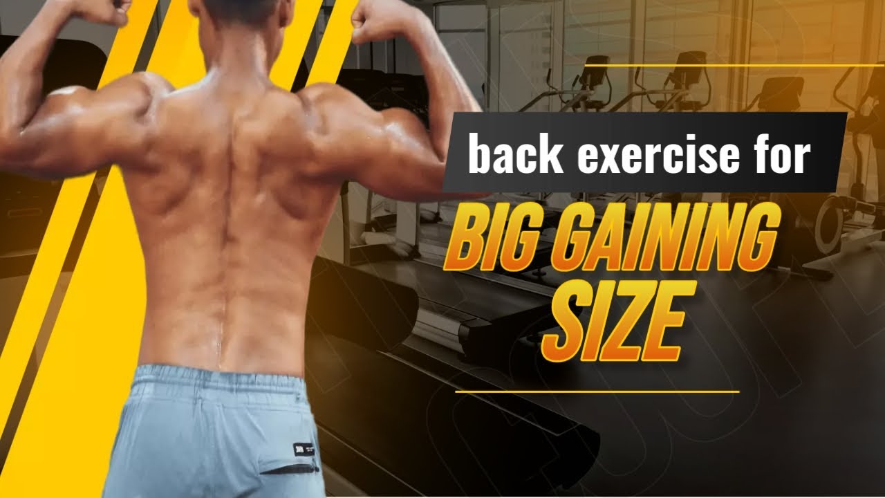 best workout for big size gaining back exercise for beginners #gains # ...