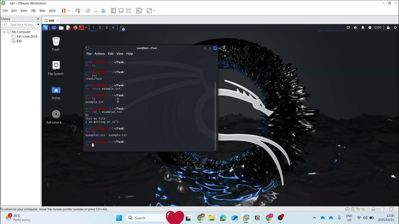 Linux File Management Tutorial: Create, List, Count Files & Directories ...