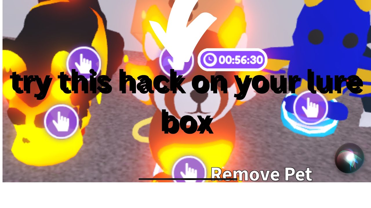 How to get magma pet every time on your lure box - YouTube