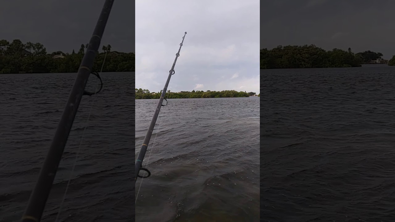 Storm 🐟 fishing - YouTube