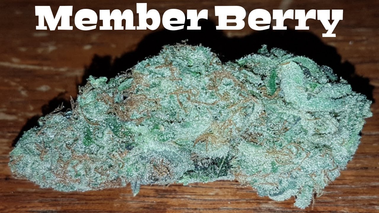 Strain Review - Member Berry - YouTube