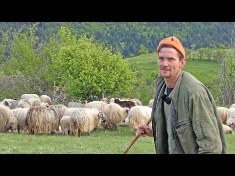Elmin se digao iz pepela, u dalekom i napuštenom selu čuva ovce
