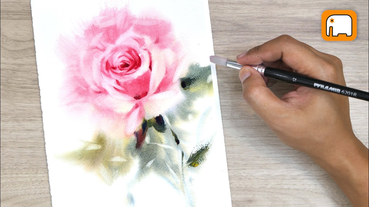 How to paint A PINK ROSE WITHOUT DRAWING /Watercolour tutorial ...