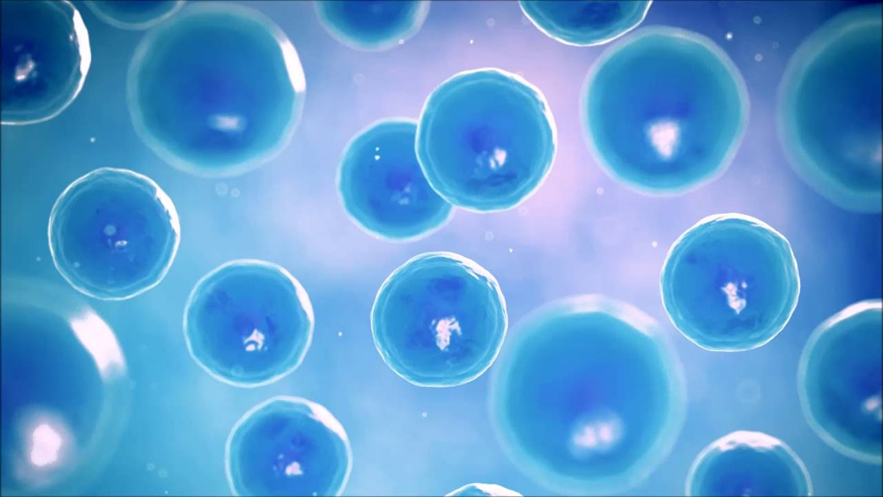 Cells - YouTube