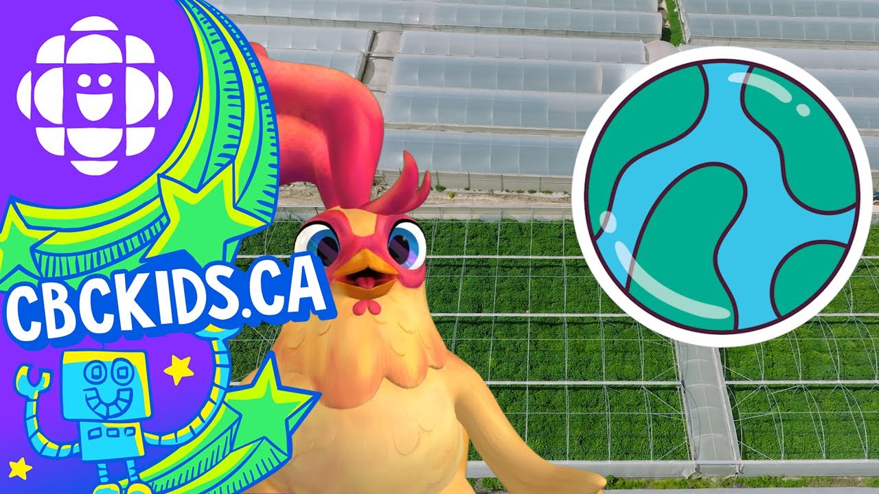 Future Chicken | Greenhouses | CBC Kids - YouTube