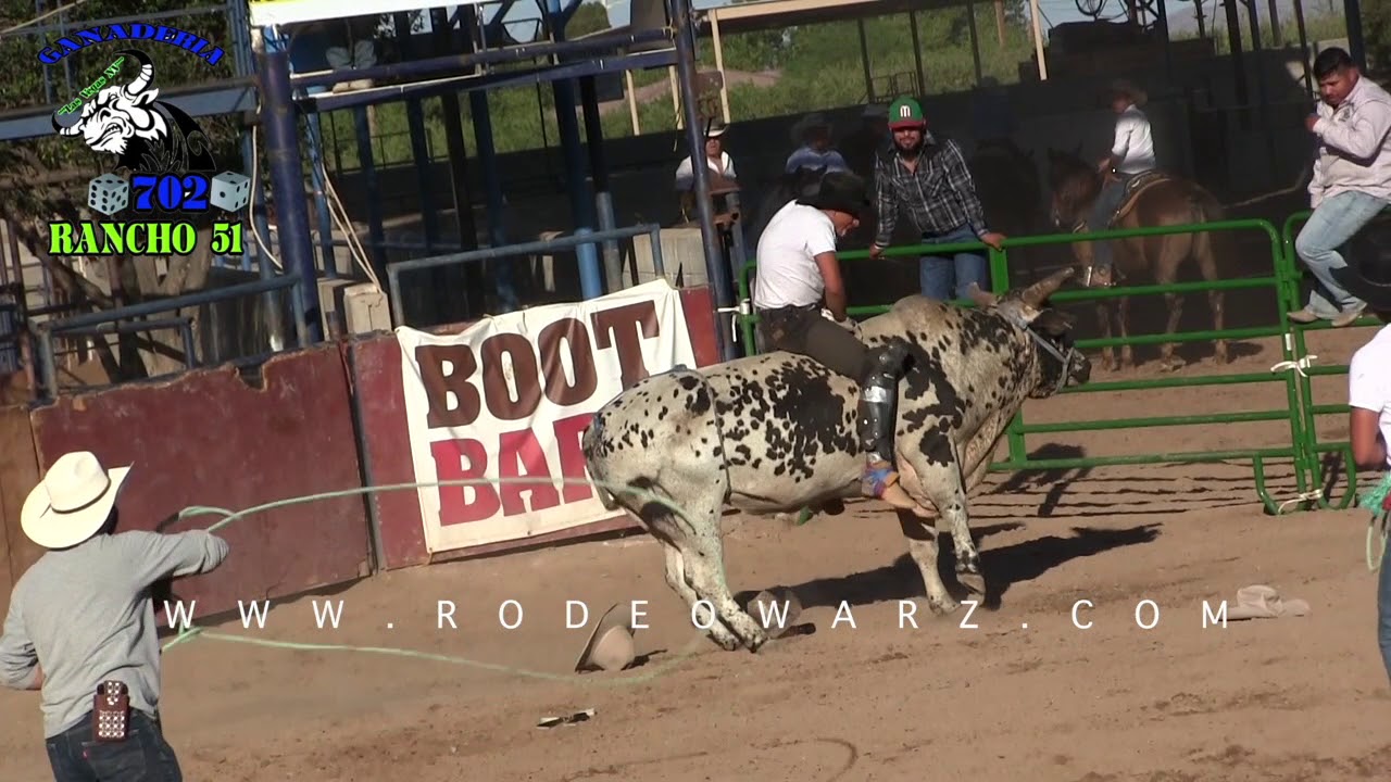[RANK] GANADERIA 702: AT RANCHO OCHOA, Phoenix , AZ. - YouTube