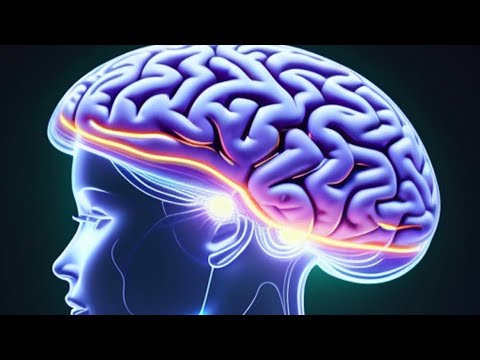 The brain used different neurons to count to four and to nine - YouTube