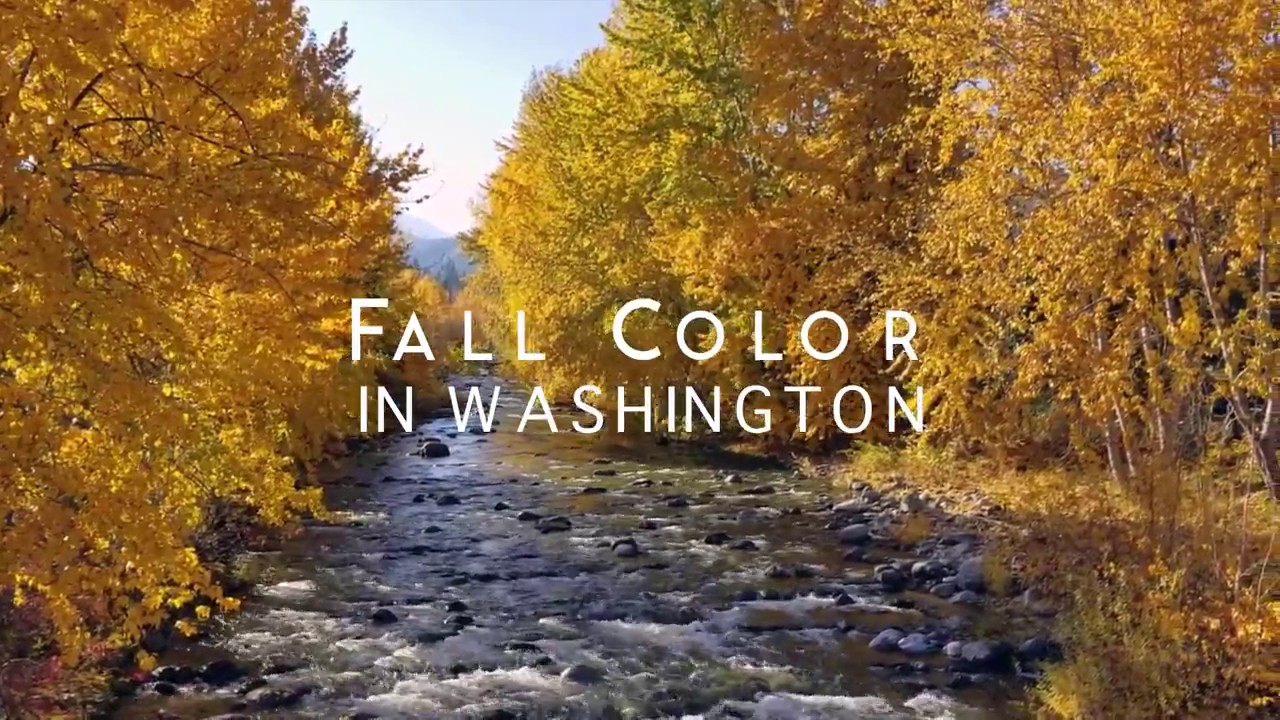 Washington State Fall Colors in Leavenworth - Road Trip from Seattle ...