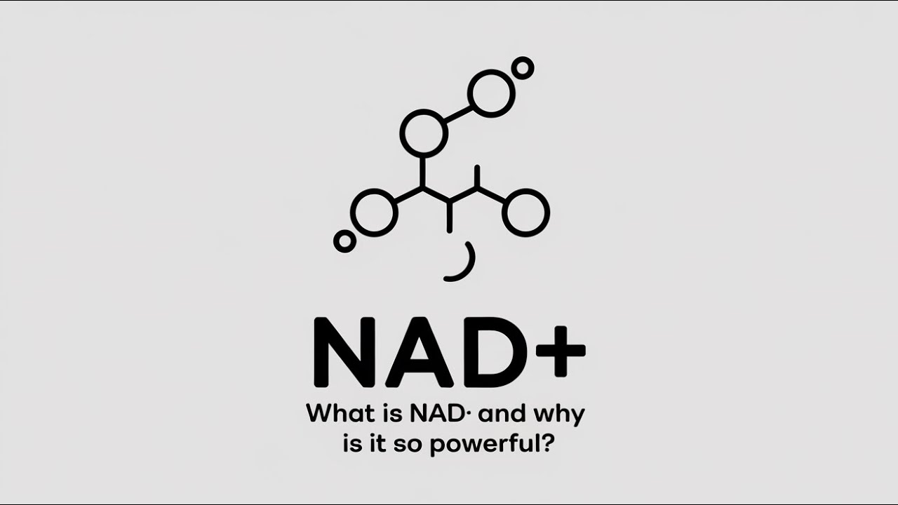 What Is NAD+ And WHY Is It So Powerful? - YouTube
