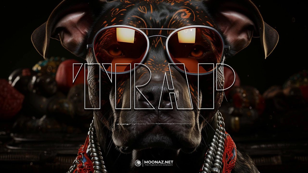 Best Trap Mix 2024 - Hiphop Party Trap Music 2024 - YouTube