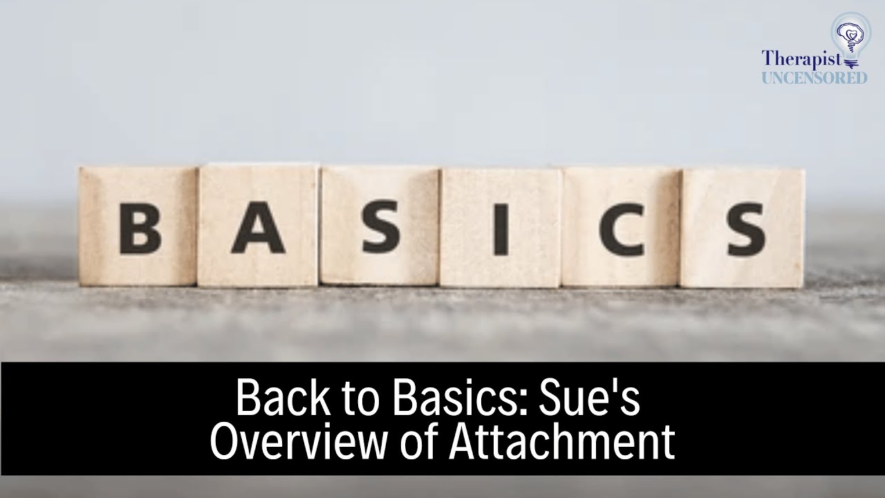 Back to Basics: Sue's Overview of Attachment - YouTube