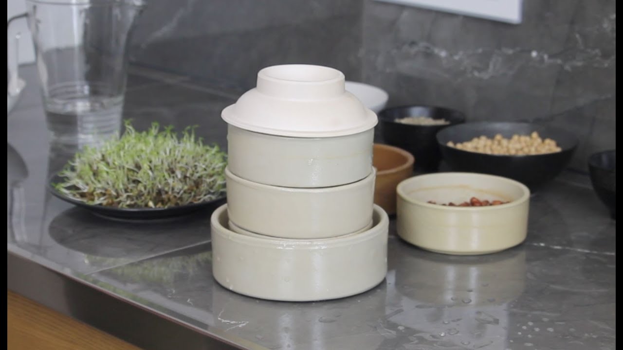Des graines germées dans un germoir en poterie - YouTube