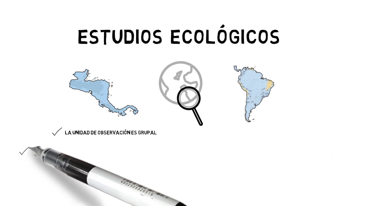 ESTUDIOS ECOLÓGICOS - YouTube