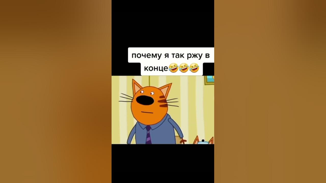 Кот без забот🙃👏#трикота - YouTube