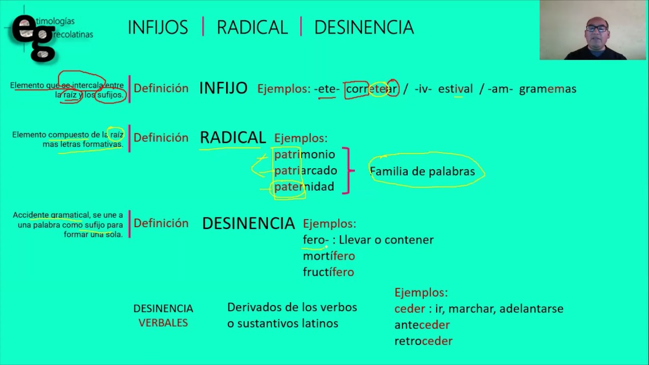 Que Es La Raiz Y La Desinencia Ejemplos Opciones De Ejemplo