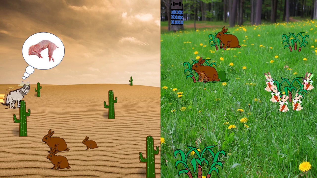 Survival of the Fittest Animation - YouTube