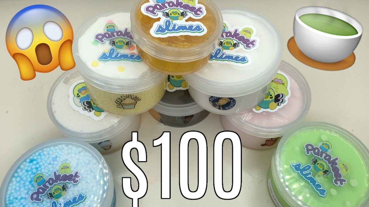 $100 BRUTALLY HONEST SLIME REVIEW?! (ft. ParakeetSlimes) - YouTube