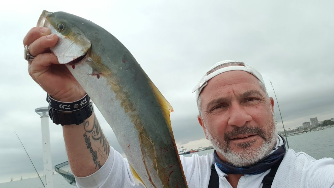 Geelong Griffin Gully Jetty Snapper, Kingfish - YouTube