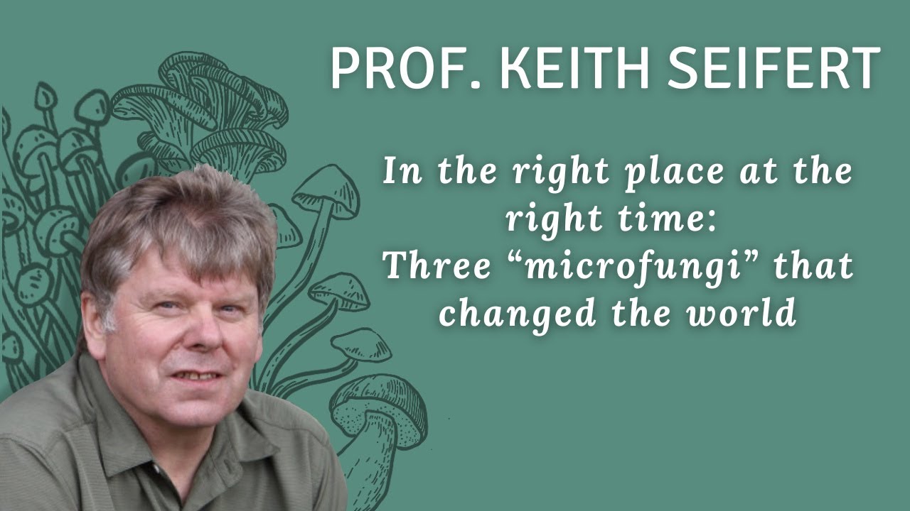 Prof Keith Seifert | In the right place at the right time: Three ...