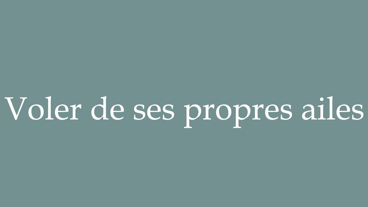 How to Pronounce ''Voler de ses propres ailes'' (Flying with your own ...