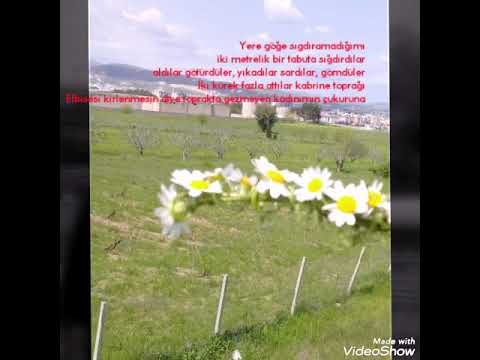 Ölen sevgiliye mektup 1 ___ Yere göğe sıgdıramadığımı iki metrelik bir tabuta sığdırdılar